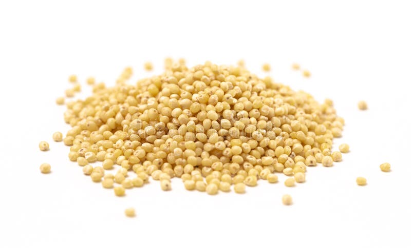 Whole Millet Pearl Grains on a White Background Stock Image - Image of ...