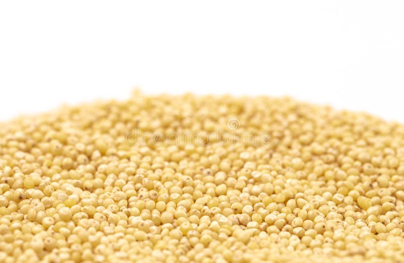 Whole Millet Pearl Grains on a White Background Stock Image - Image of ...