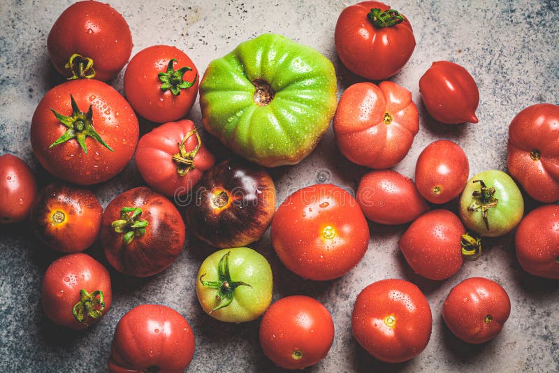 Whole Multi-colored Ripe Tomatoes on Dark Blue Background, Top View ...