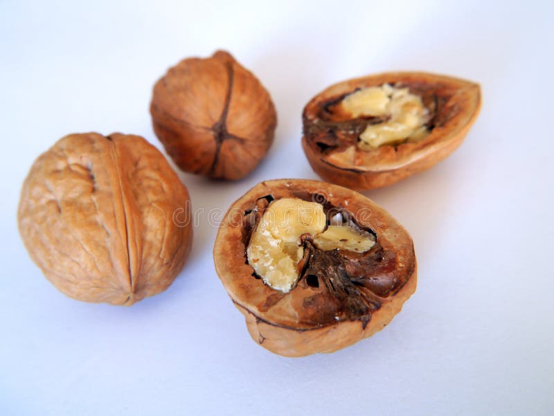 Whole Nuts and Items To Eat Stock Photo - Image of kernel, items: 138868470