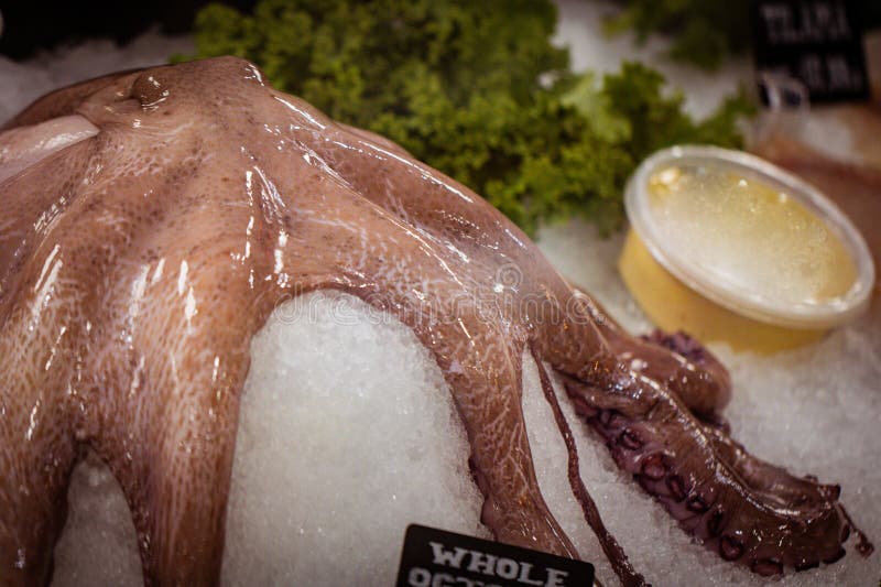 Whole octopus on ice stock photo. Image of creature - 316798432