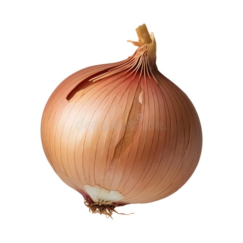 A Whole Onion with a Papery, Tan Outer Skin and a Slightly Pointed Top ...