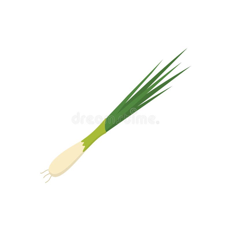 Whole Onion Ripe. Spring Onions Vegetable Vector in Cartoon Style ...