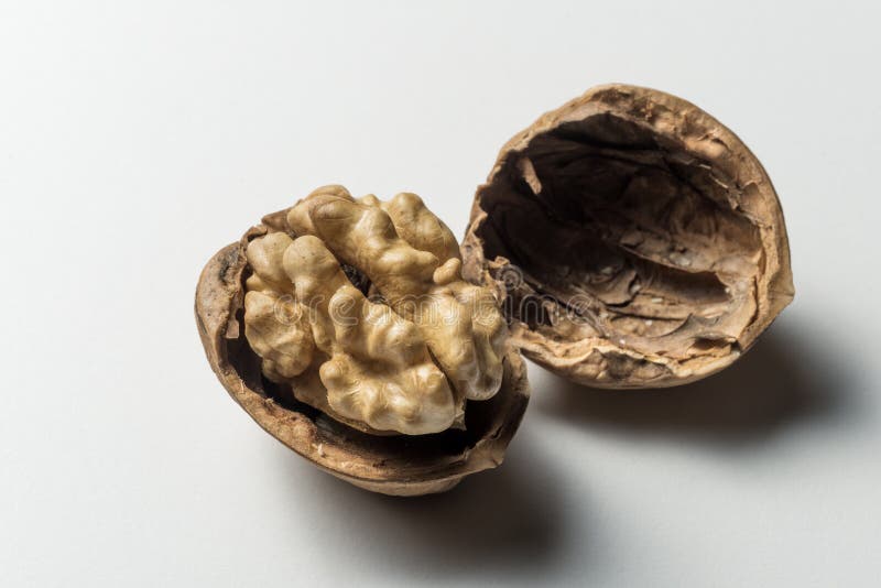Whole and Open Walnut and Kernel Stock Image - Image of healthy, walnut ...