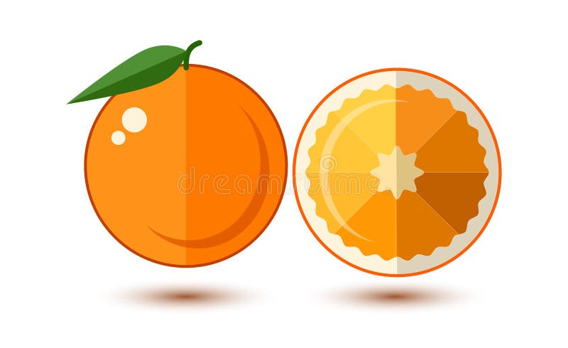 Whole Orange, Cut Orange, Flat Vector. Vector Illustration Stock Vector ...