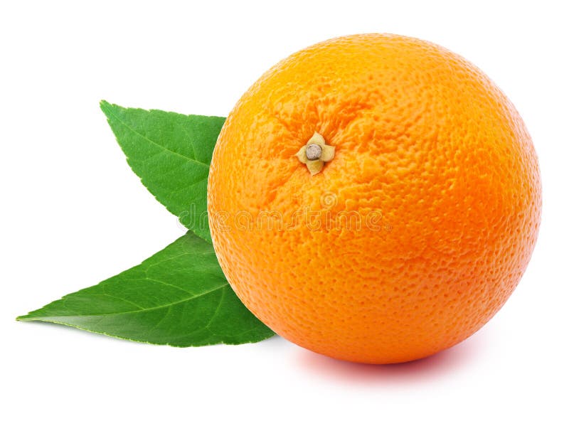 Whole Orange Isolated on White Stock Image - Image of fresh, background ...