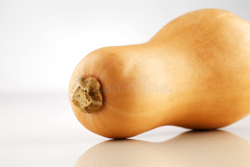 A Whole Organic Australian Squash Stock Photo - Image of harvest ...
