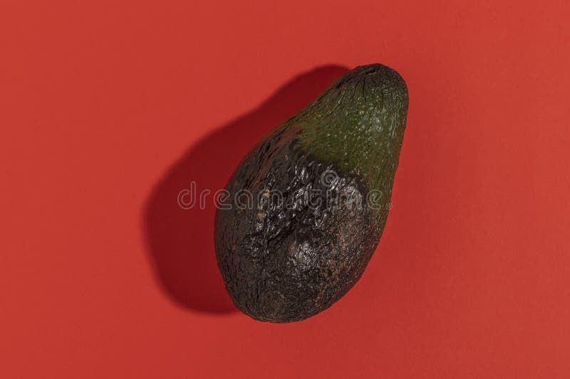 Whole Overripe Avocado on a Red Background. Stock Image - Image of ...