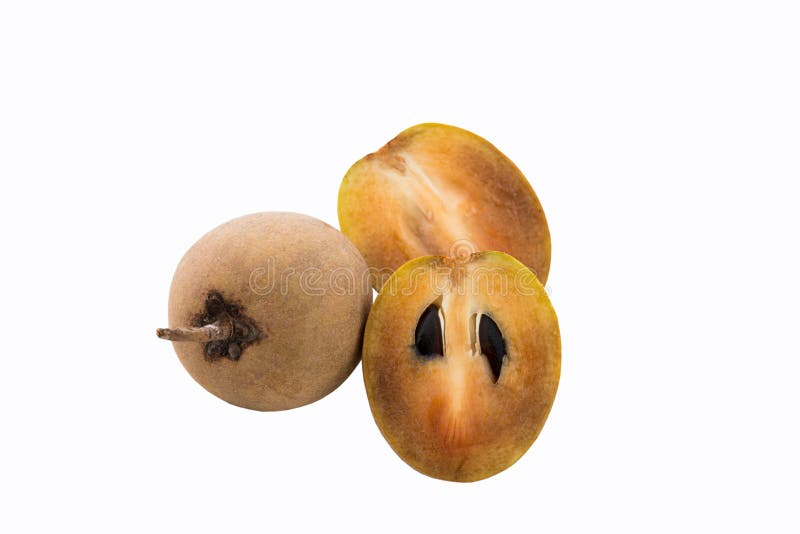 Whole Sapodilla Fruits stock photo. Image of fruit, attached - 150541910