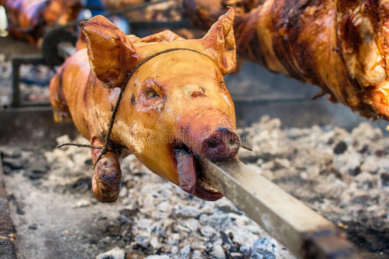 Whole Pig Being Roasted stock photo. Image of aroma, digest - 908244