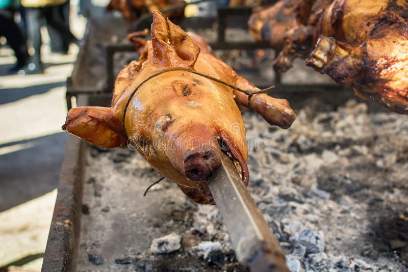 A Whole Pig Being Roasted on a Fire Stock Photo - Image of food ...