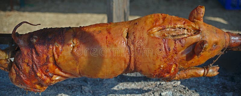 Whole Pig on Stick Roasting Under Open Fire Stock Photo - Image of meat ...