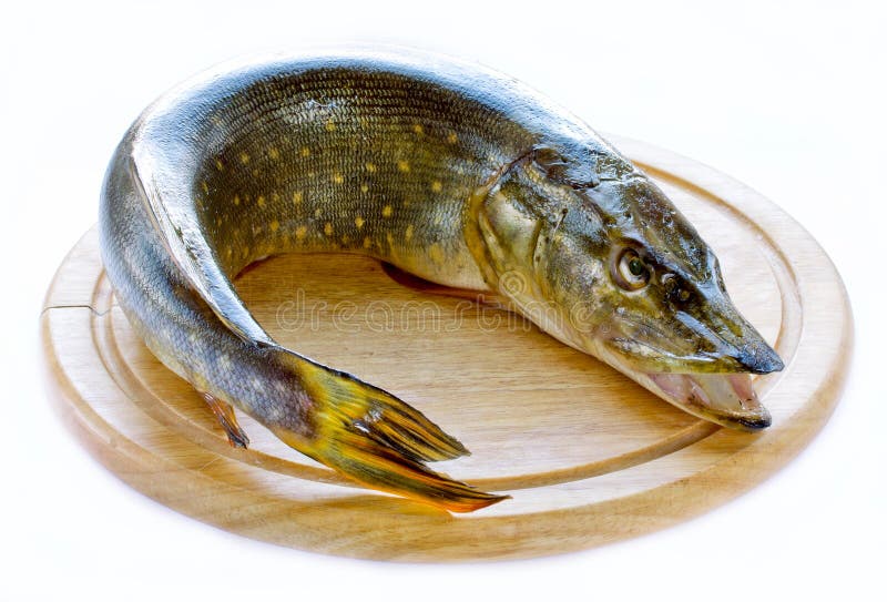 Pike Fish Pieces on Wooden Board Isolated on White Background Stock ...