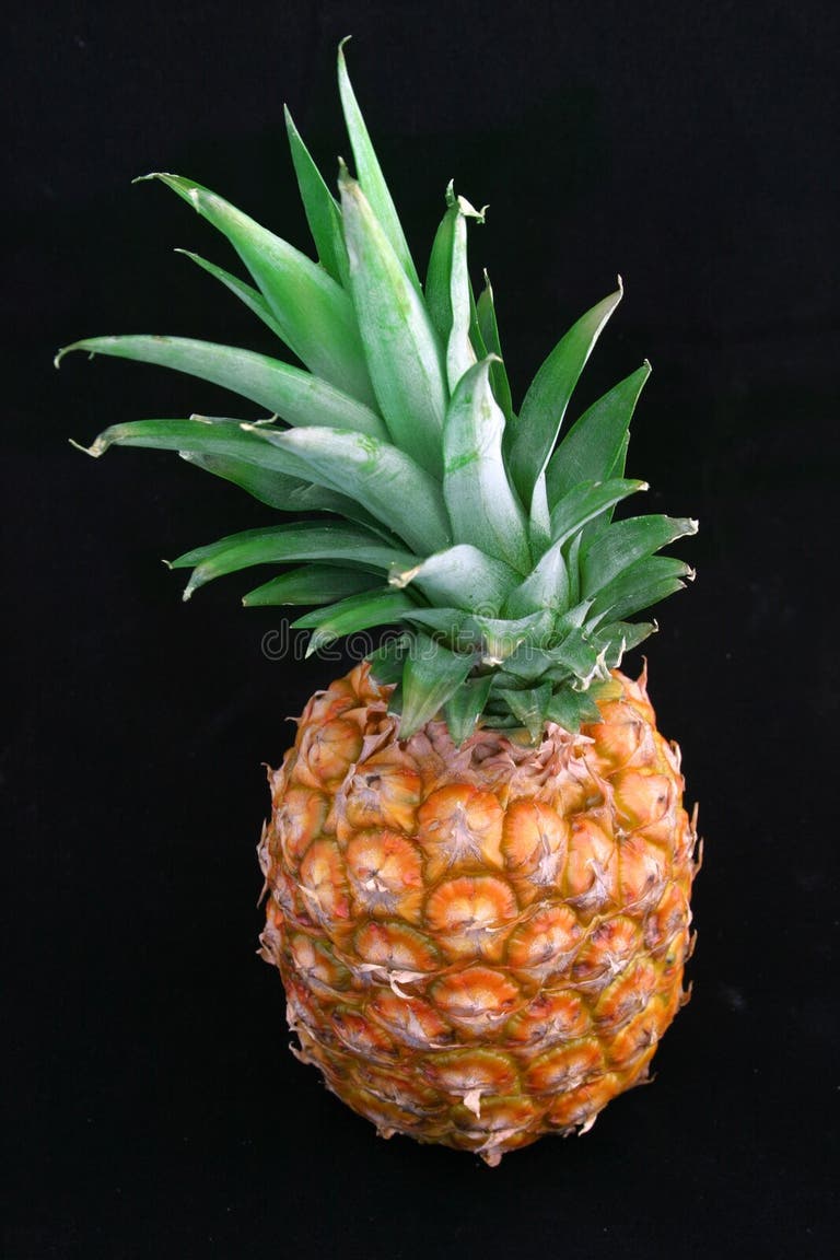 15,323 Whole Pineapple Stock Photos - Free & Royalty-Free Stock Photos ...