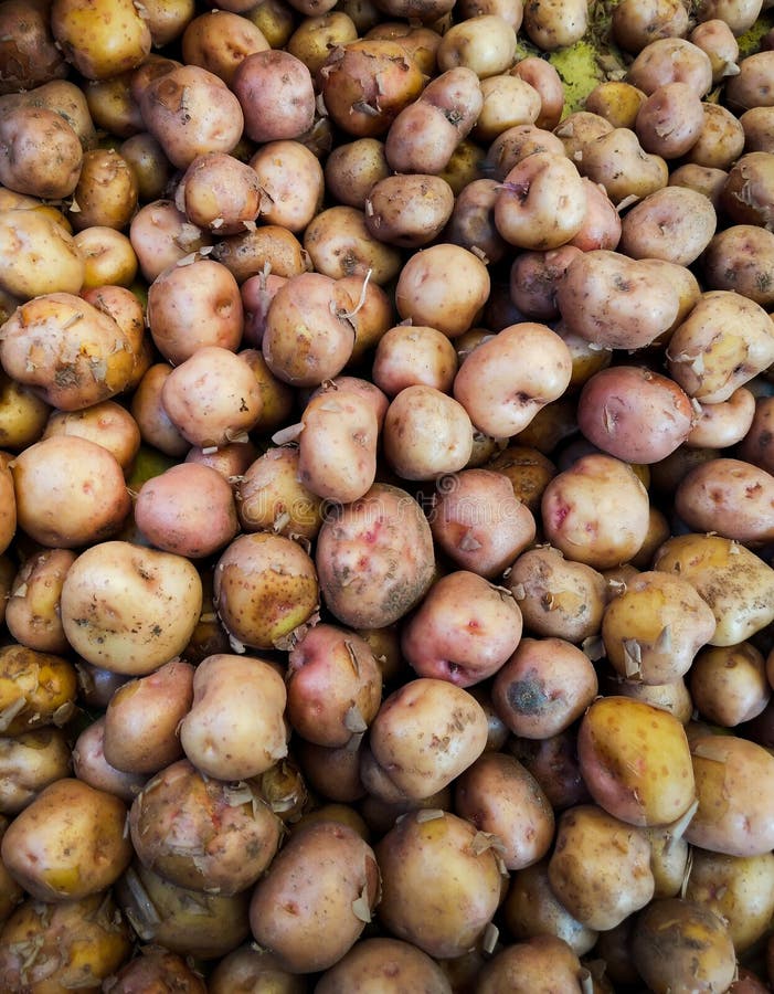 Whole Potato Top View Close Up Stock Image - Image of organic, natural ...