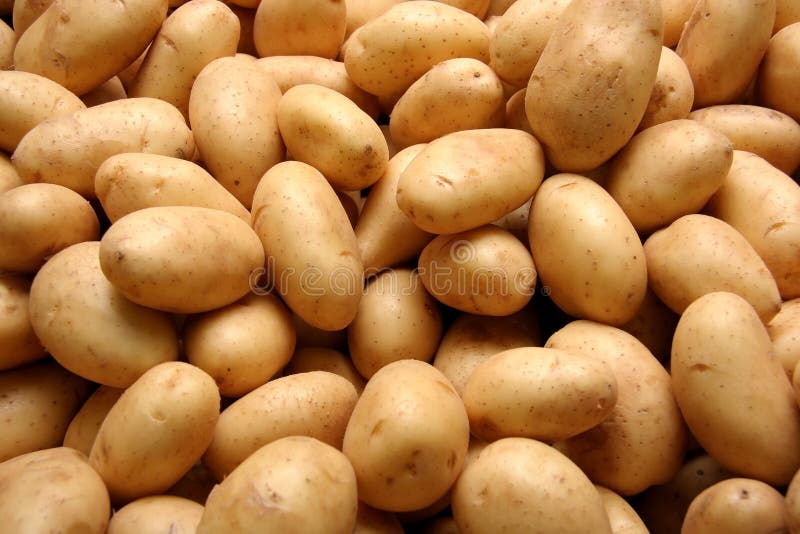 Whole Potatoes stock image. Image of calories, market - 5485329