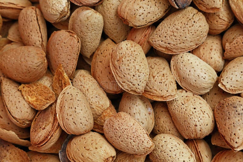 Whole Raw Almond Nuts with Shell Close Up Stock Photo - Image of ...