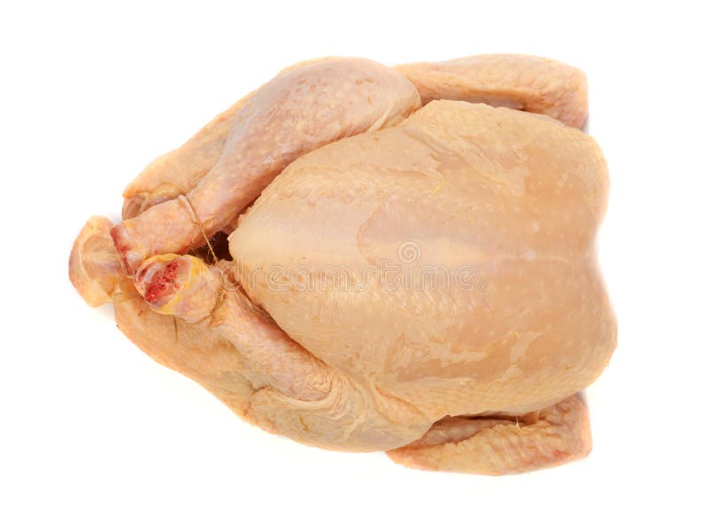 Whole raw chicken isolated stock image. Image of prepared - 59984079