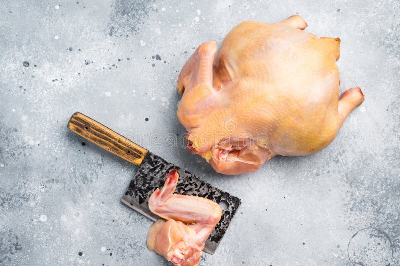 A Whole Raw Chicken and a Chicken Wing Sit on a Gray Surface, Ready To ...