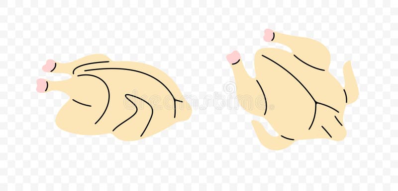 Whole Raw Chicken and Poultry Meat, Graphic Design Stock Vector ...