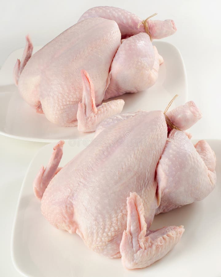 Whole raw chicken stock image. Image of food, delicious - 39690243