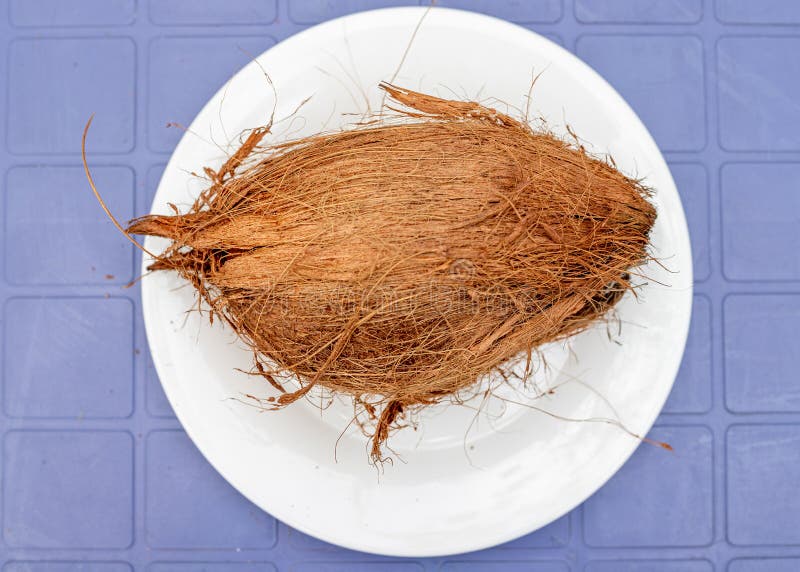 Whole Raw Coconut with Husk in a Plate Stock Photo - Image of nature ...