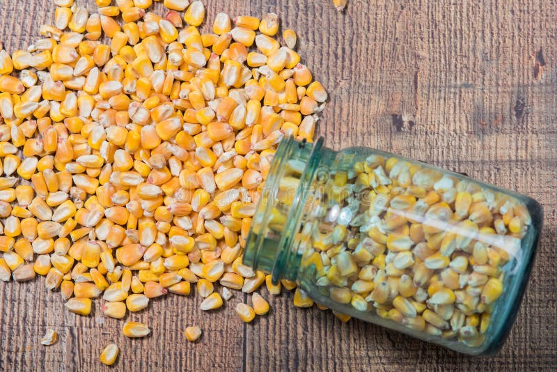 Dry whole raw corn kernels stock photo. Image of colorful - 166196102