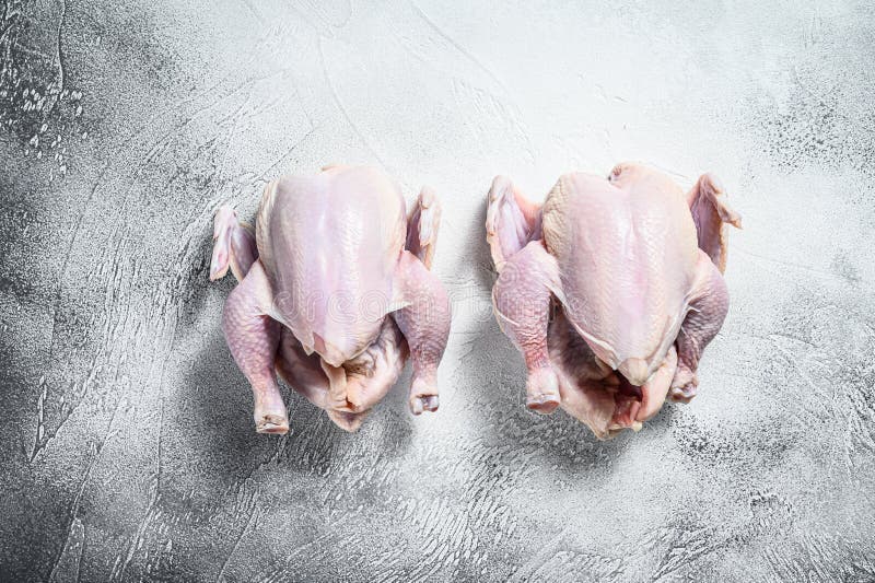 Whole Raw Free Range Chicken. White Background Stock Photo - Image of ...