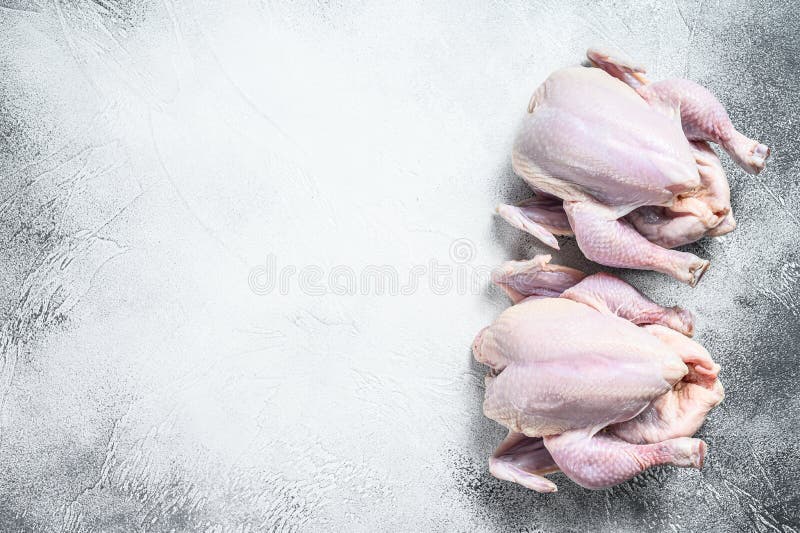 Whole Raw Free Range Chicken. White Background. Top View Stock Photo ...