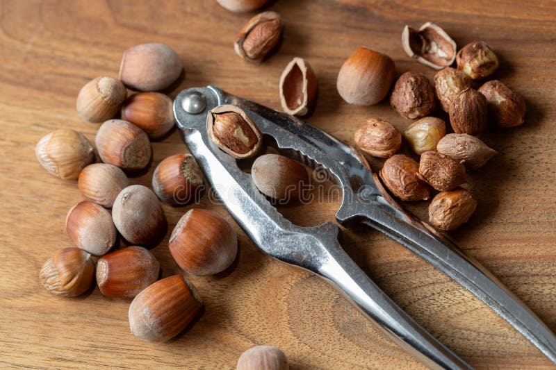Whole Raw Hazelnuts with a Nutcracker on a Wooden Background Stock ...