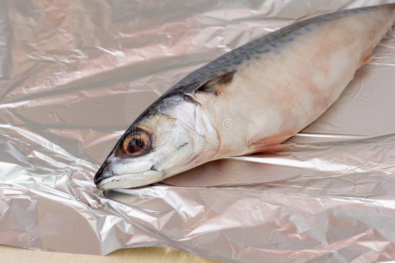 Whole raw mackerel fish stock image. Image of fresh - 295472459