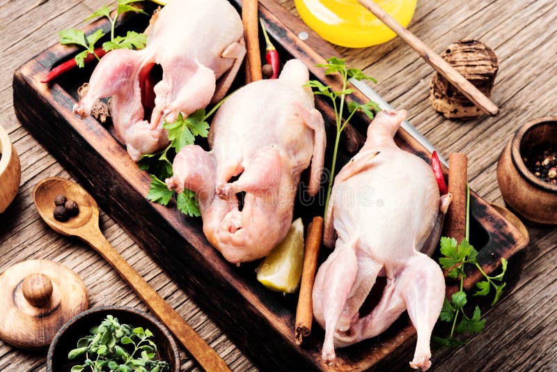 Whole raw quail stock photo. Image of ingredient, poultry - 133988148