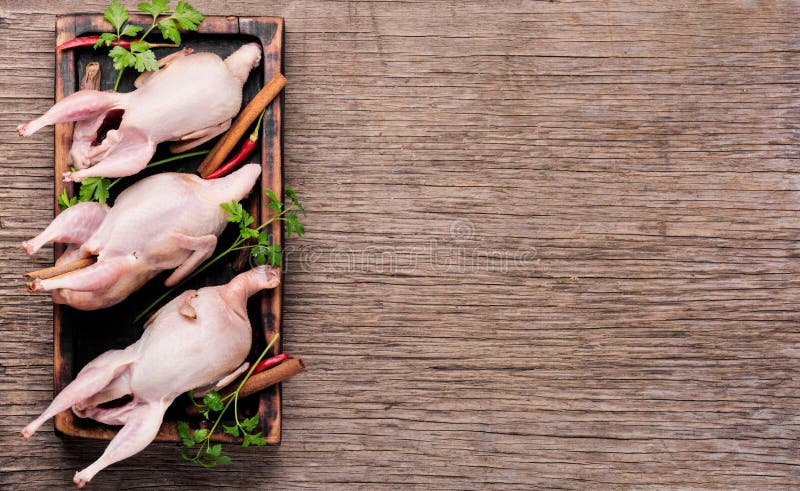 Whole raw quail stock photo. Image of kitchen, fowl - 133988350