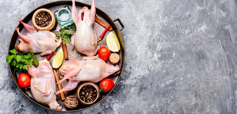 Whole raw quail stock image. Image of bird, protein - 134568229