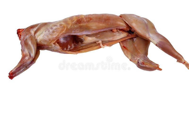 Whole Raw Rabbit Meat Isolated on White Background Stock Image - Image ...