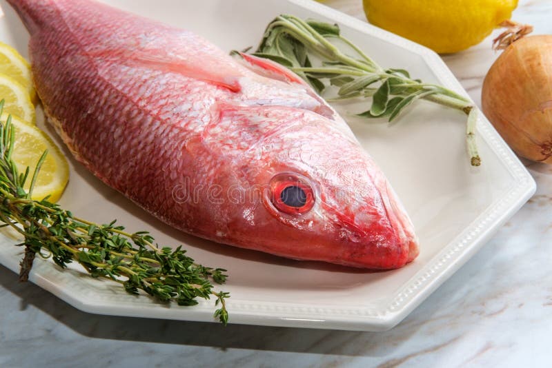 Whole Raw Red Snapper stock image. Image of seafood - 220794553