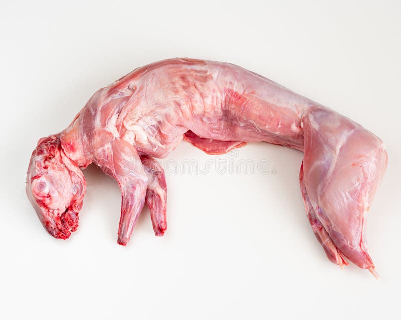 Whole Raw Skinned Rabbit Isolated on White Background Stock Image ...