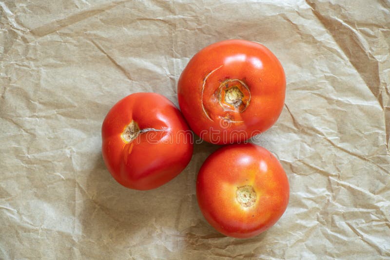 Tomato on table stock image. Image of healthy, orange - 120125769