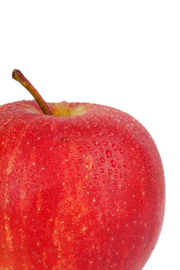 Whole red apple stock photo. Image of organic, group - 39685294