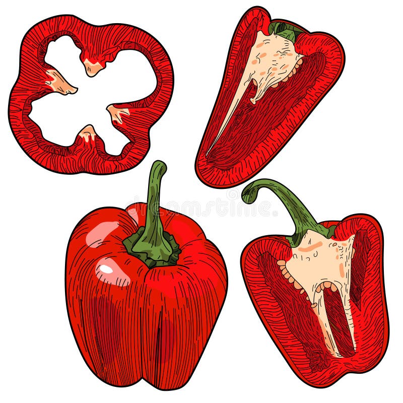Red Pepper Half Stock Illustrations – 919 Red Pepper Half Stock ...