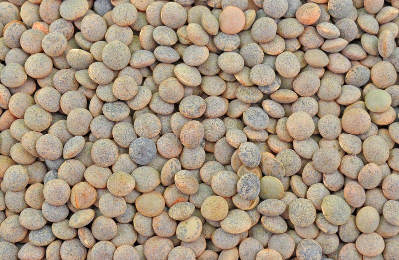 Whole pulse seeds stock photo. Image of green, husk, lobia - 35623390