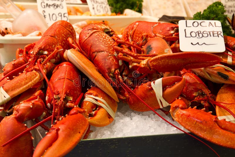 Whole red lobsters on ice stock image. Image of savor - 19851507