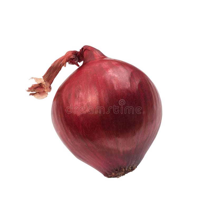 Whole Red Onion Isolated stock photo. Image of groceries - 113453456