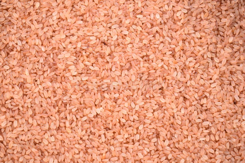 Whole red rice flakes stock photo. Image of cereal, flakes - 213119572
