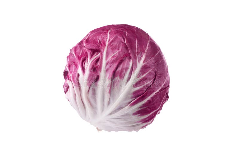 Whole red radicchio stock image. Image of healthy, organic - 153103005