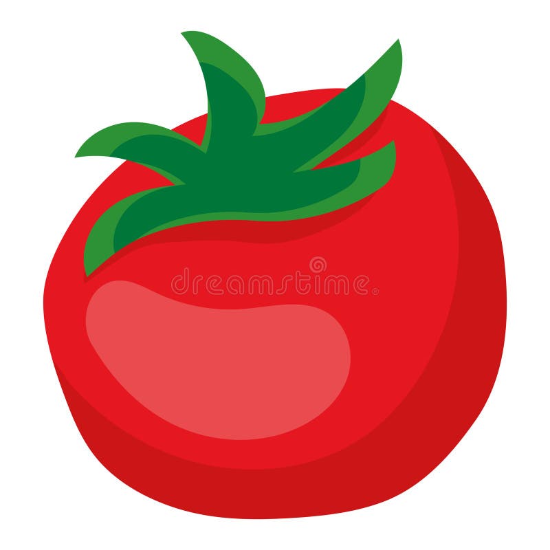 Whole Red Tomato with Leaf. Vector Stock Illustration - Illustration of ...