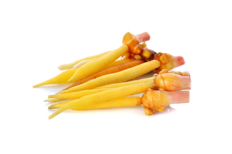 Whole Rhizome, Finger Root on White Stock Photo - Image of herbaceous ...