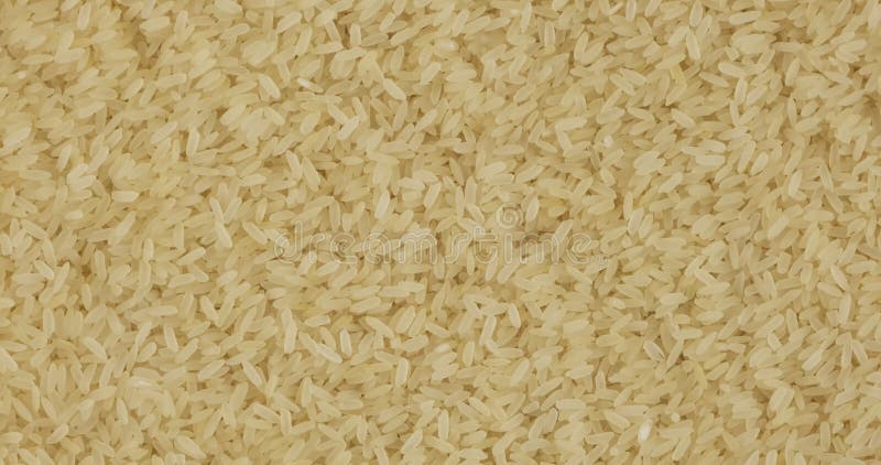 Rice Grain Stripe Isolated on Green Screen. Top View Stock Footage ...