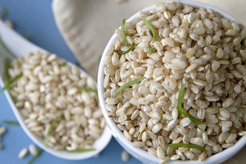 Whole rice stock image. Image of plant, agriculture, dinner - 32176973