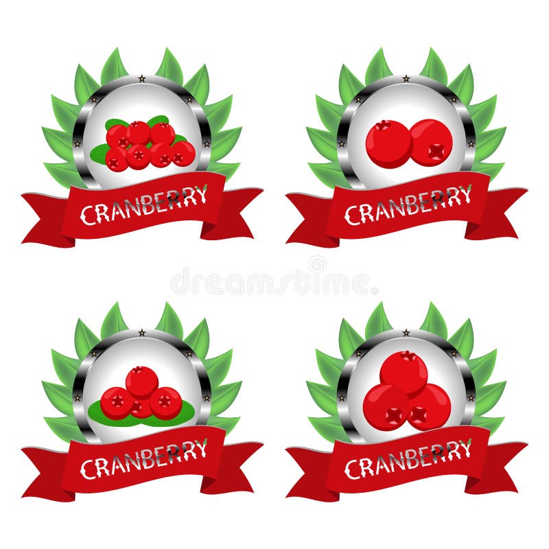 Whole Ripe Berry Red Cranberry Stock Vector - Illustration of plant ...